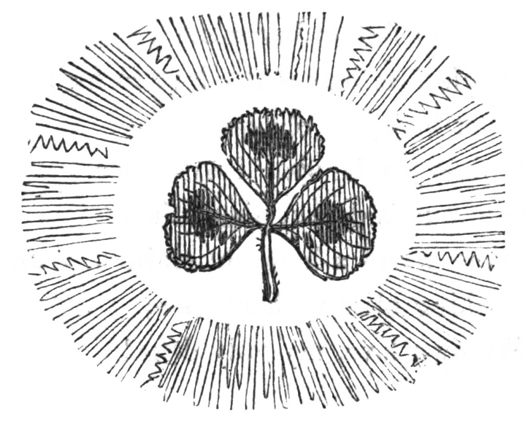 Vintage Clip Art - Clover Illustration in Black and Green